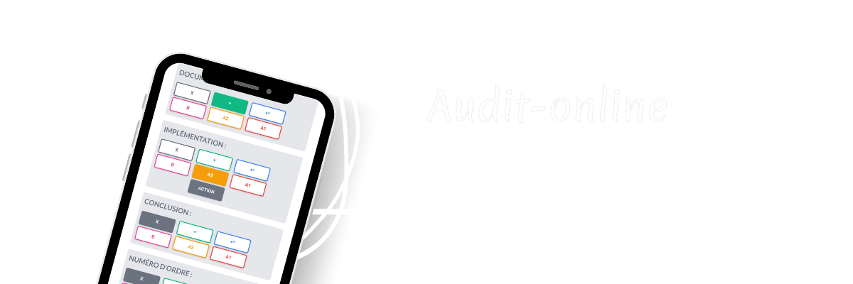 Audit Online - Exemples